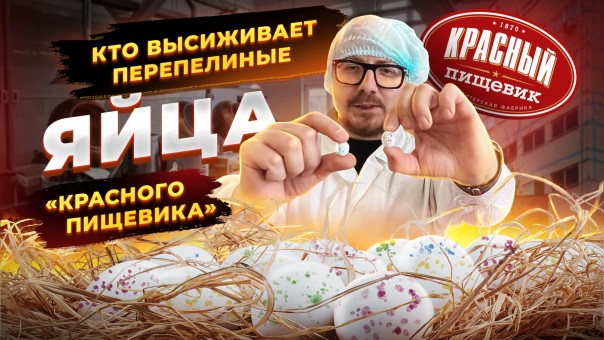 Как делают яйца в Красном Пищевике, знаменитые перепелиные шоколадные яйца